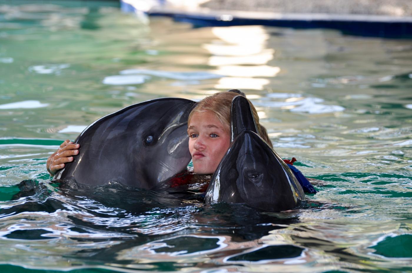 NAGER AVEC LES DAUPHINS | Villa Bossi Bali NAGER AVEC LES DAUPHINS | Villa Bossi Bali